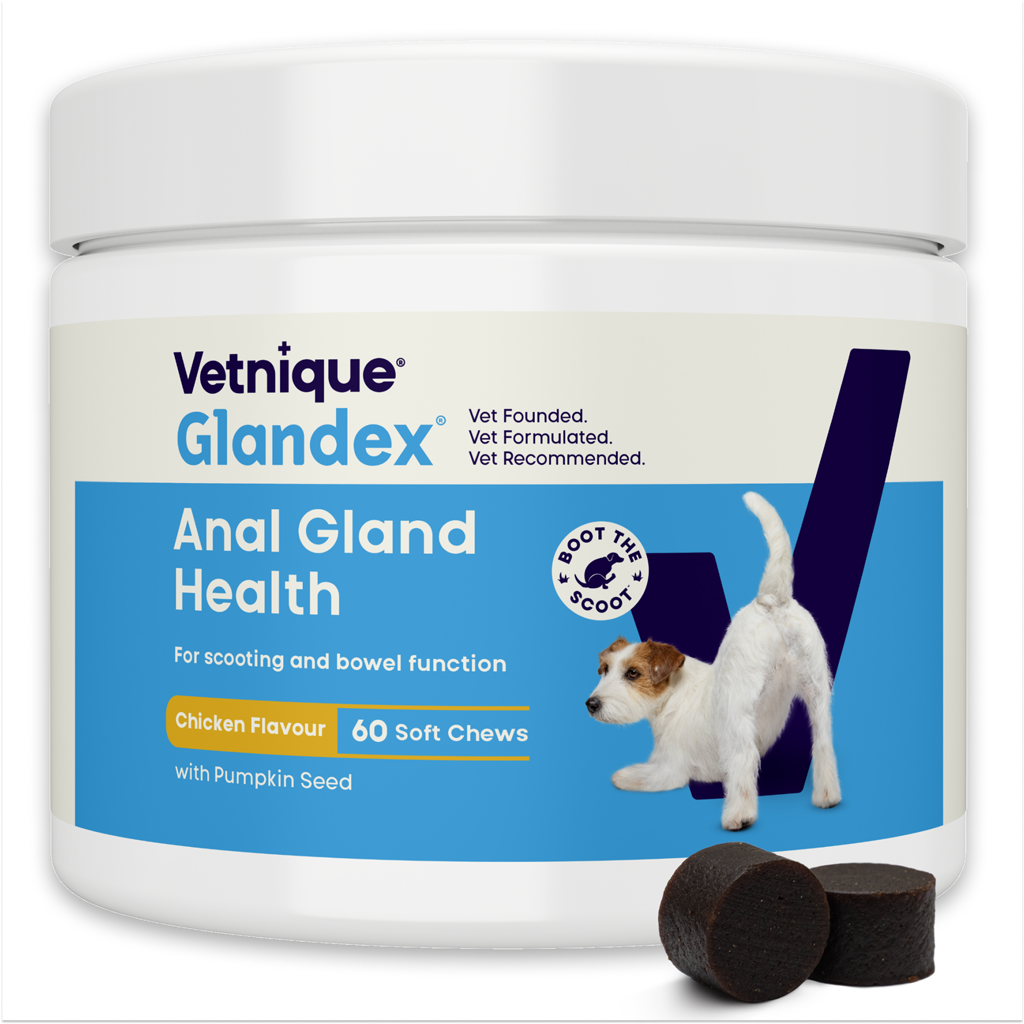 Glandex Soft Chews Kip 60 treats (240 g) - Food4animals